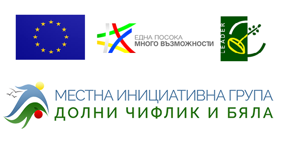 Община Долни чифлик